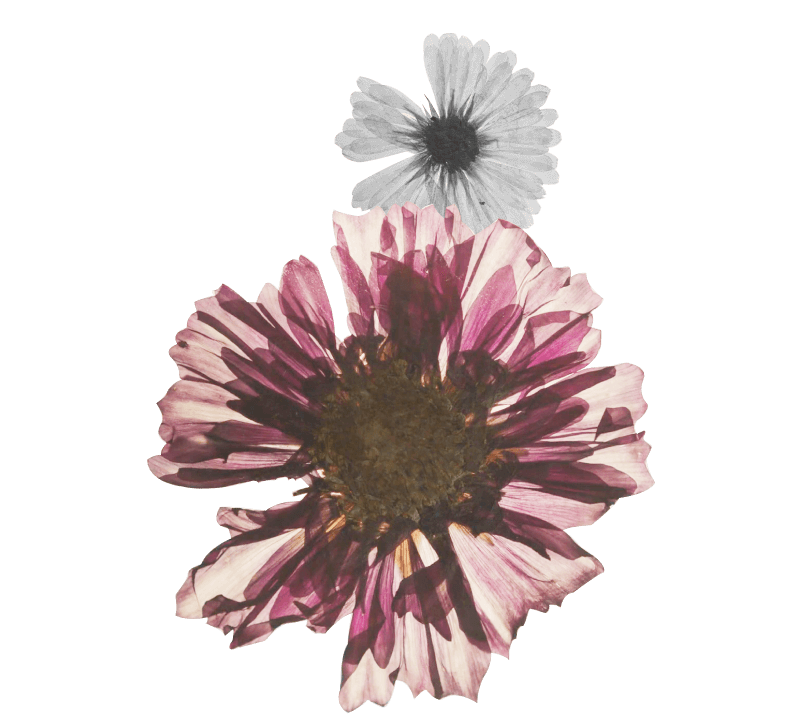 2021 Spring Kitchen Trends Lookbook | KitchenAid